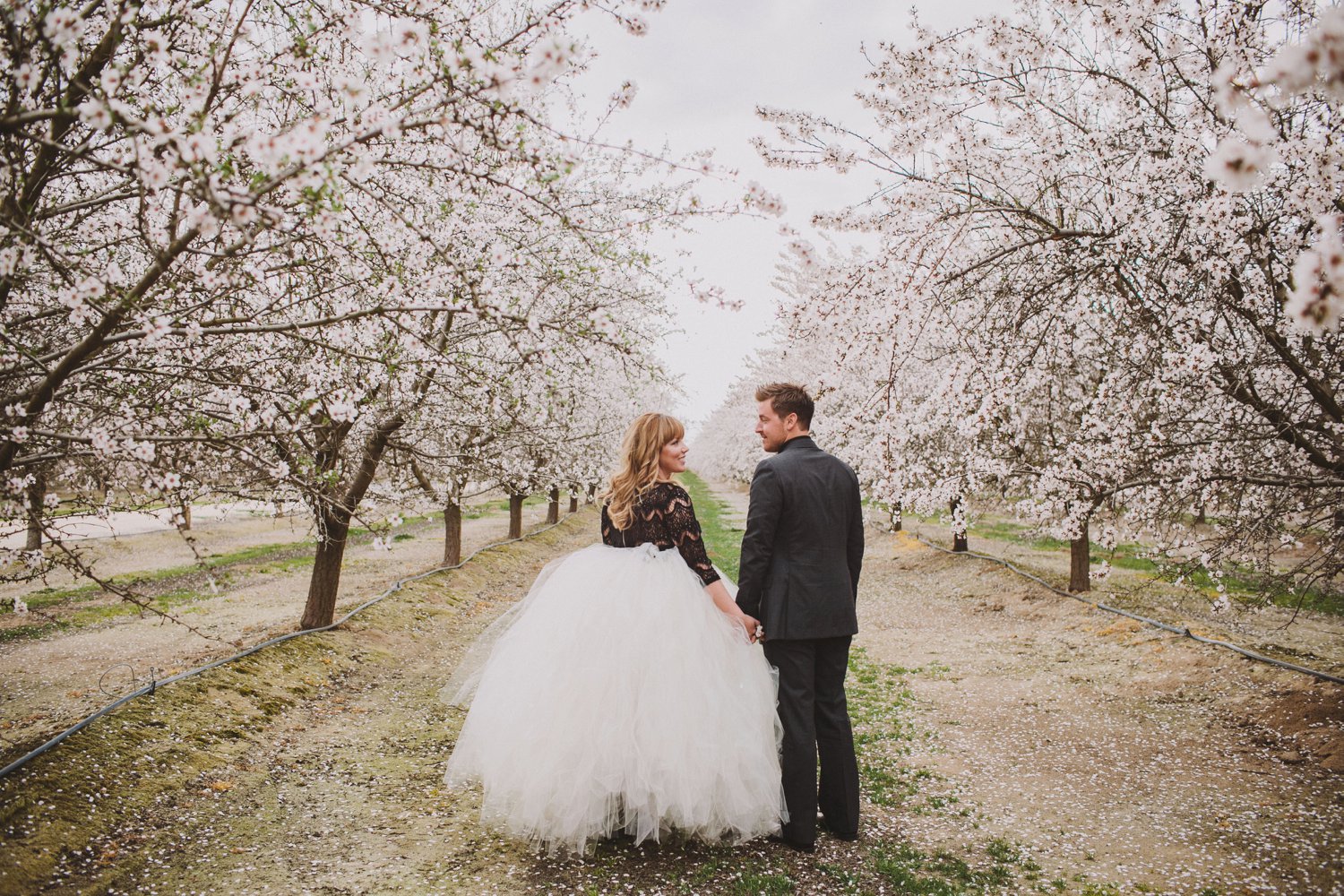 Almond orchard wedding inspiration