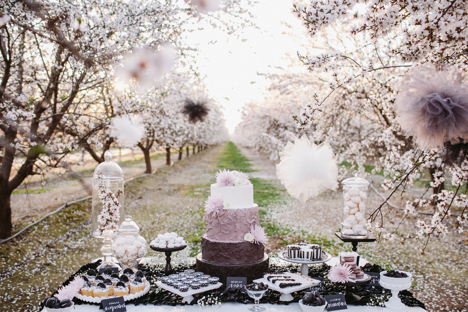 Almond orchard wedding inspiration