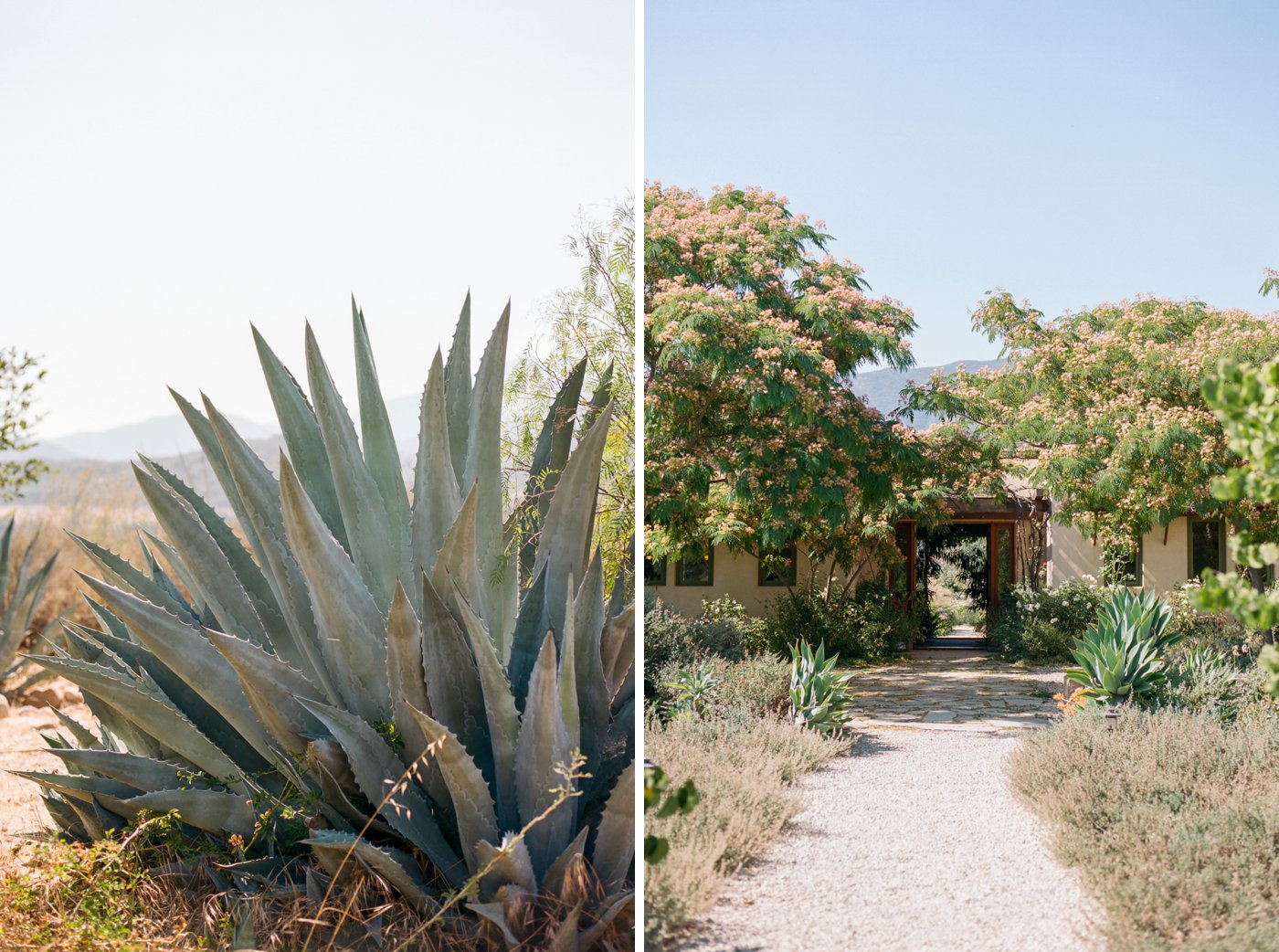 The Ojai Ranch estate wedding