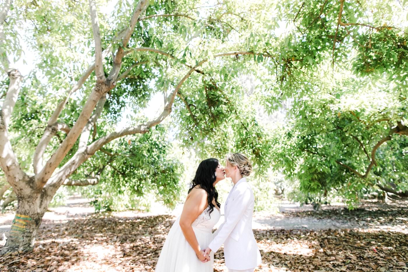 Limoneira Ranch wedding in Santa Paula