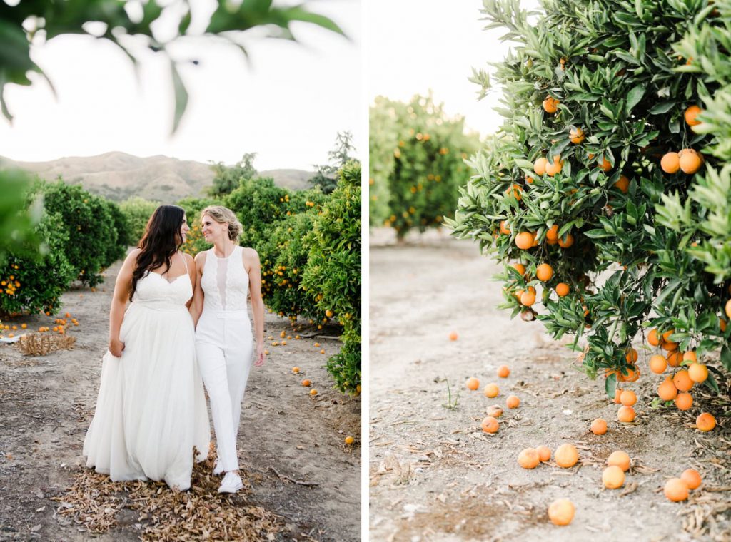 Limoneira Ranch wedding in Santa Paula