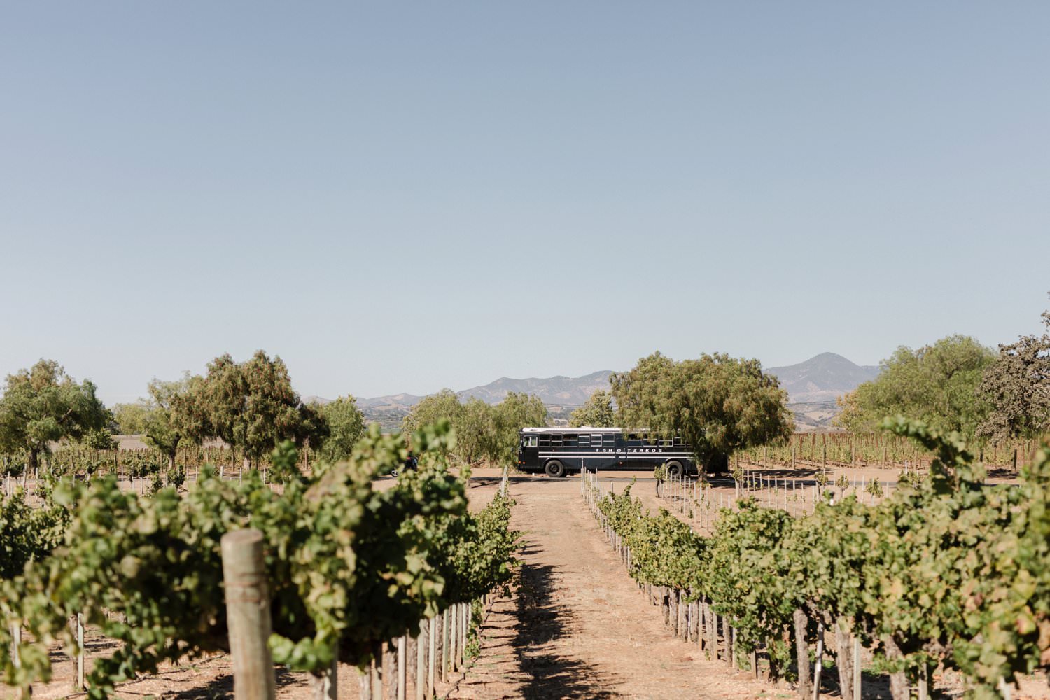 Gainey Vineyard wedding