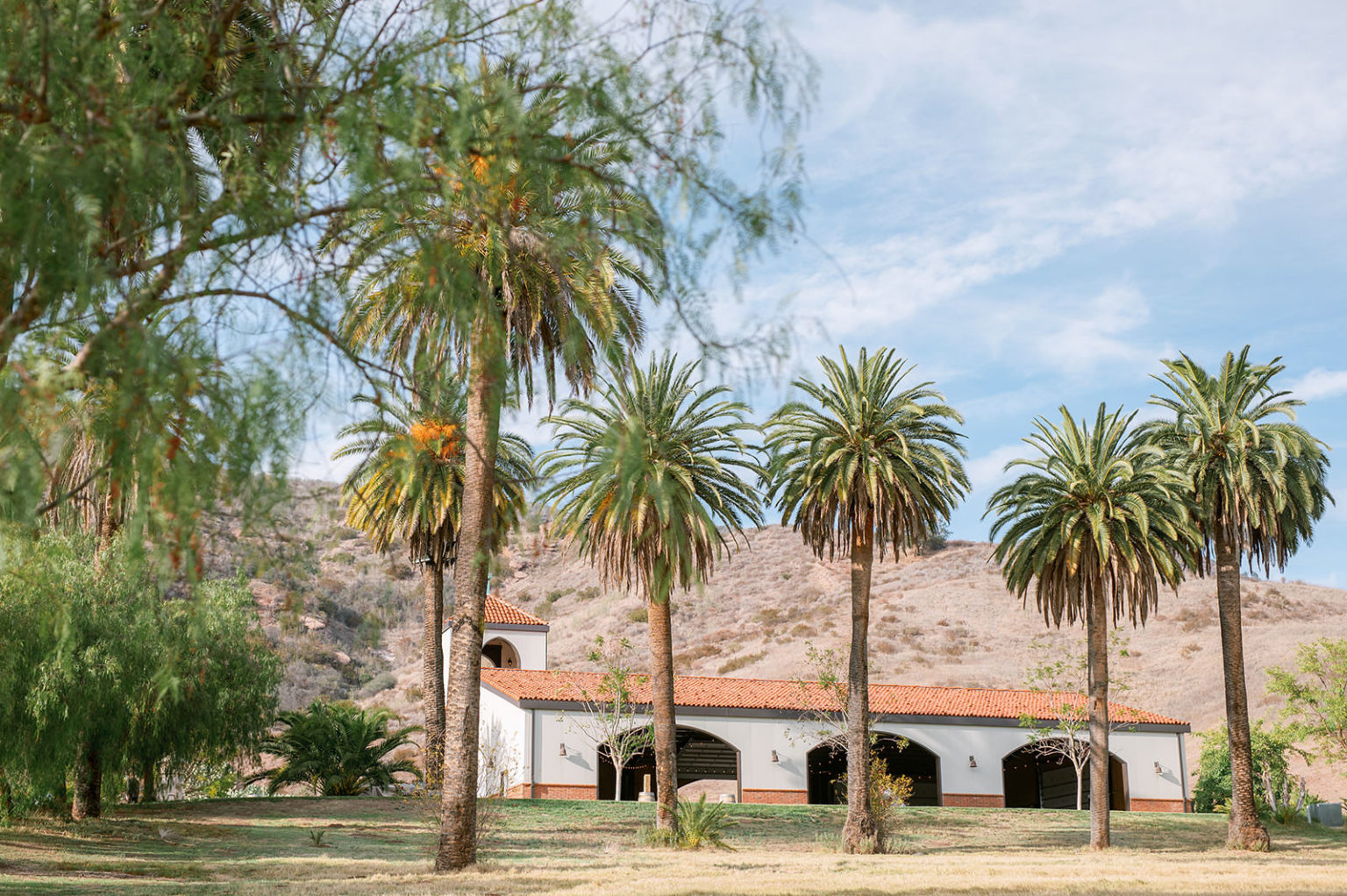 Collins Ranch wedding